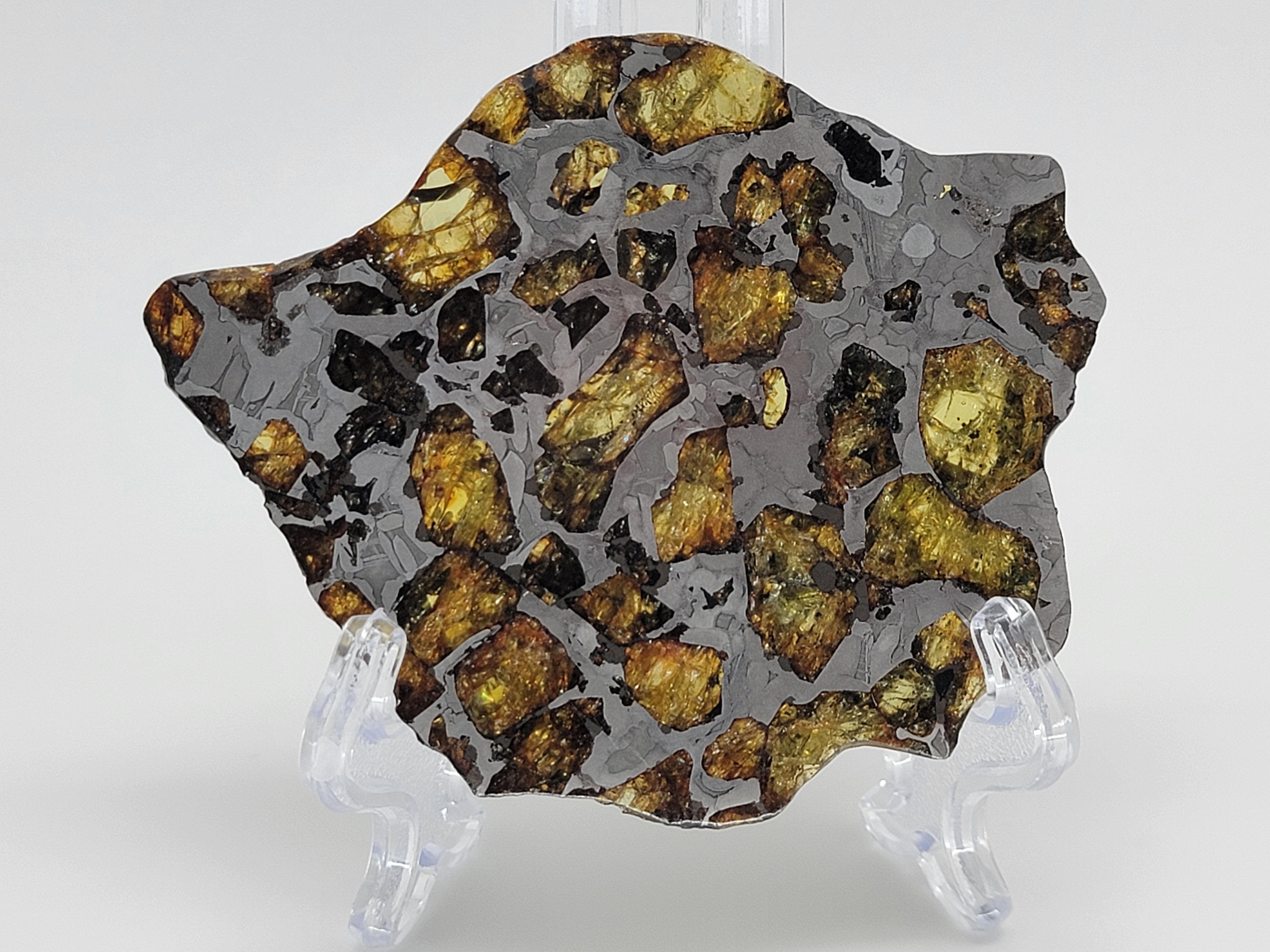 Pallasites – Star Hunter Meteorites