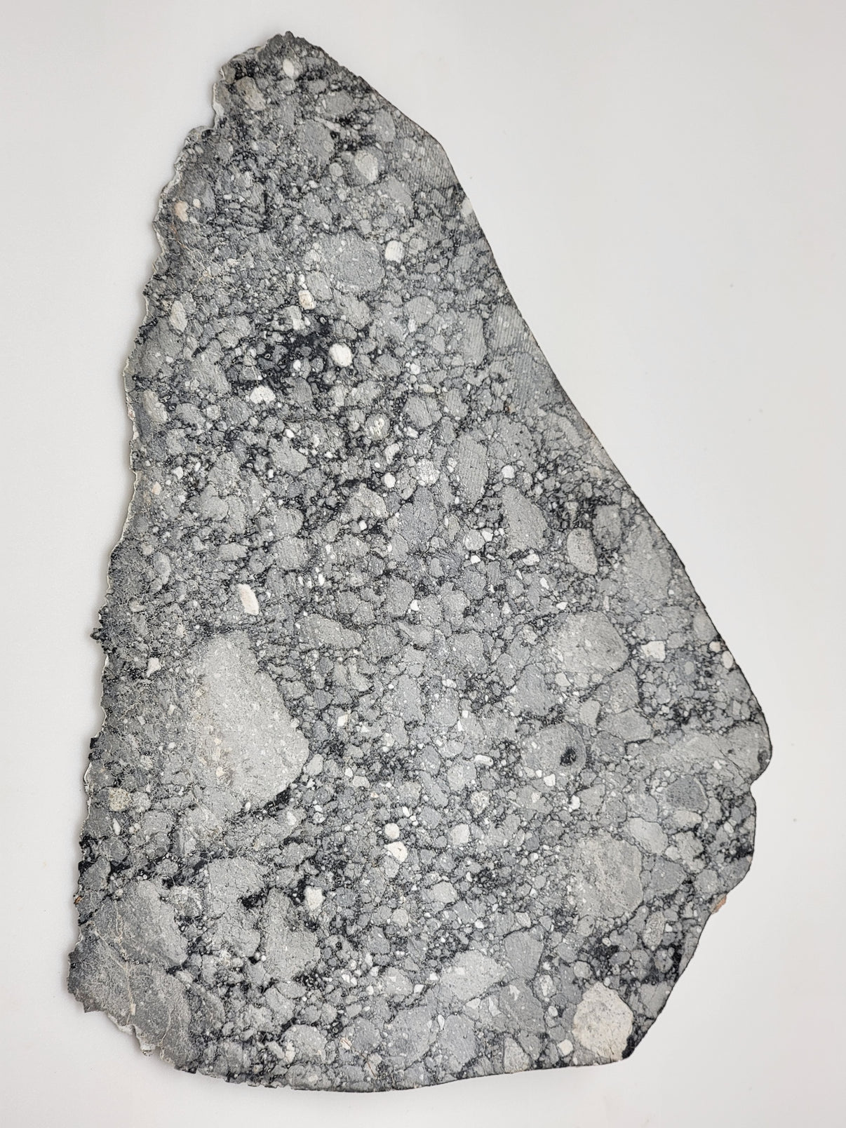 Gadamis 004 "Apollo" Lunar Ferroan Anorthosite Slice - 143.3g – Star ...