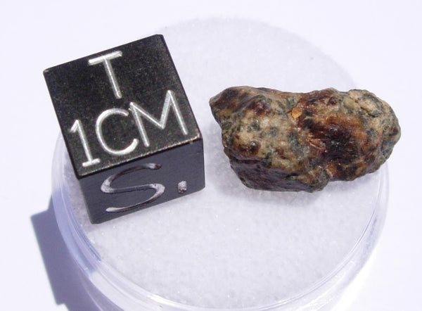 Erg Chech 002 Ungrouped Achondrite 1.44g – Star Hunter Meteorites