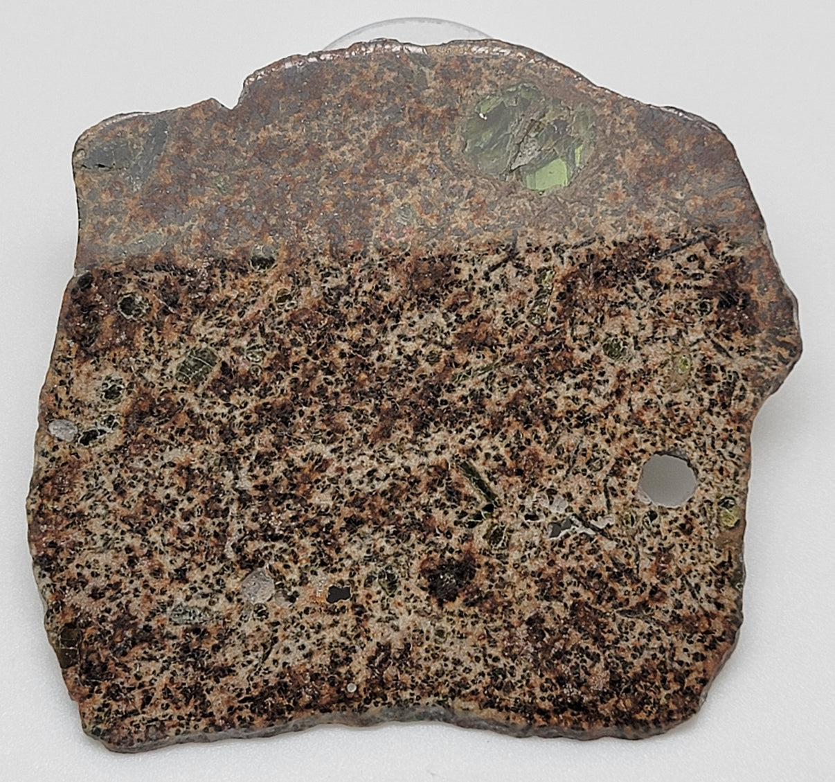 Erg Chech 002 Ungrouped Achondrite Polished Slice 24.7g – Star Hunter ...